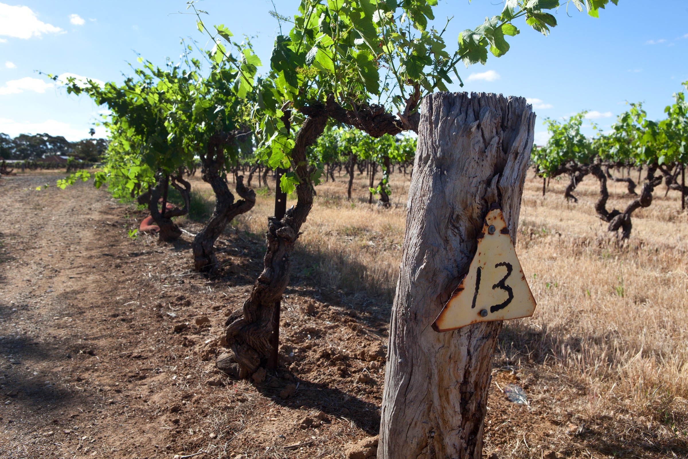 About | Welland Barossa